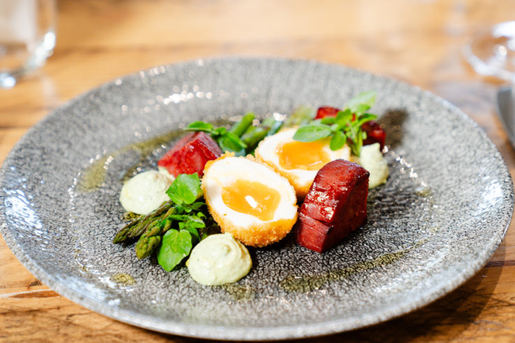 News | Cannon Hall Farm