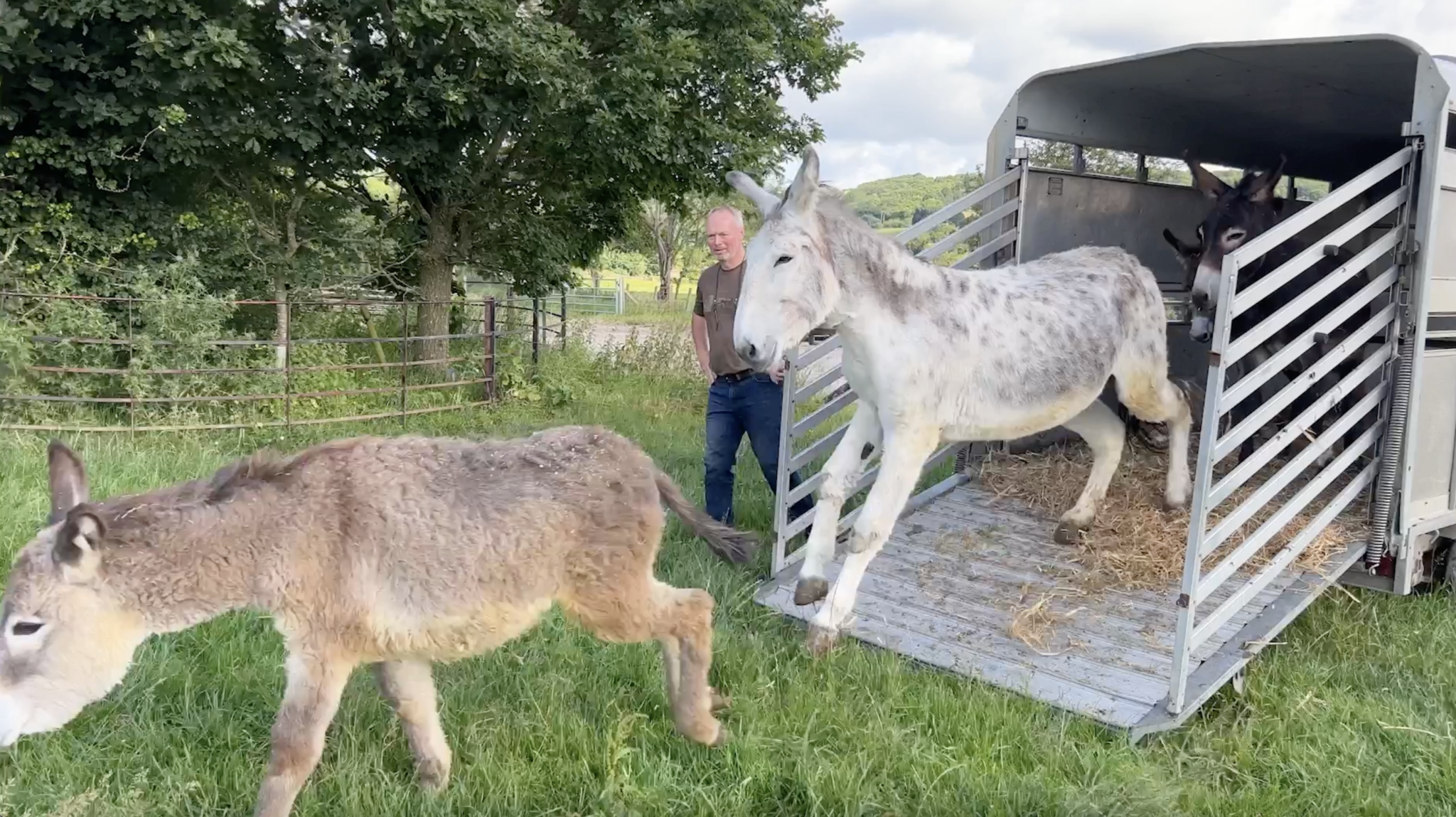 Goldilock’s Porridge Time! | Cannon Hall Farm