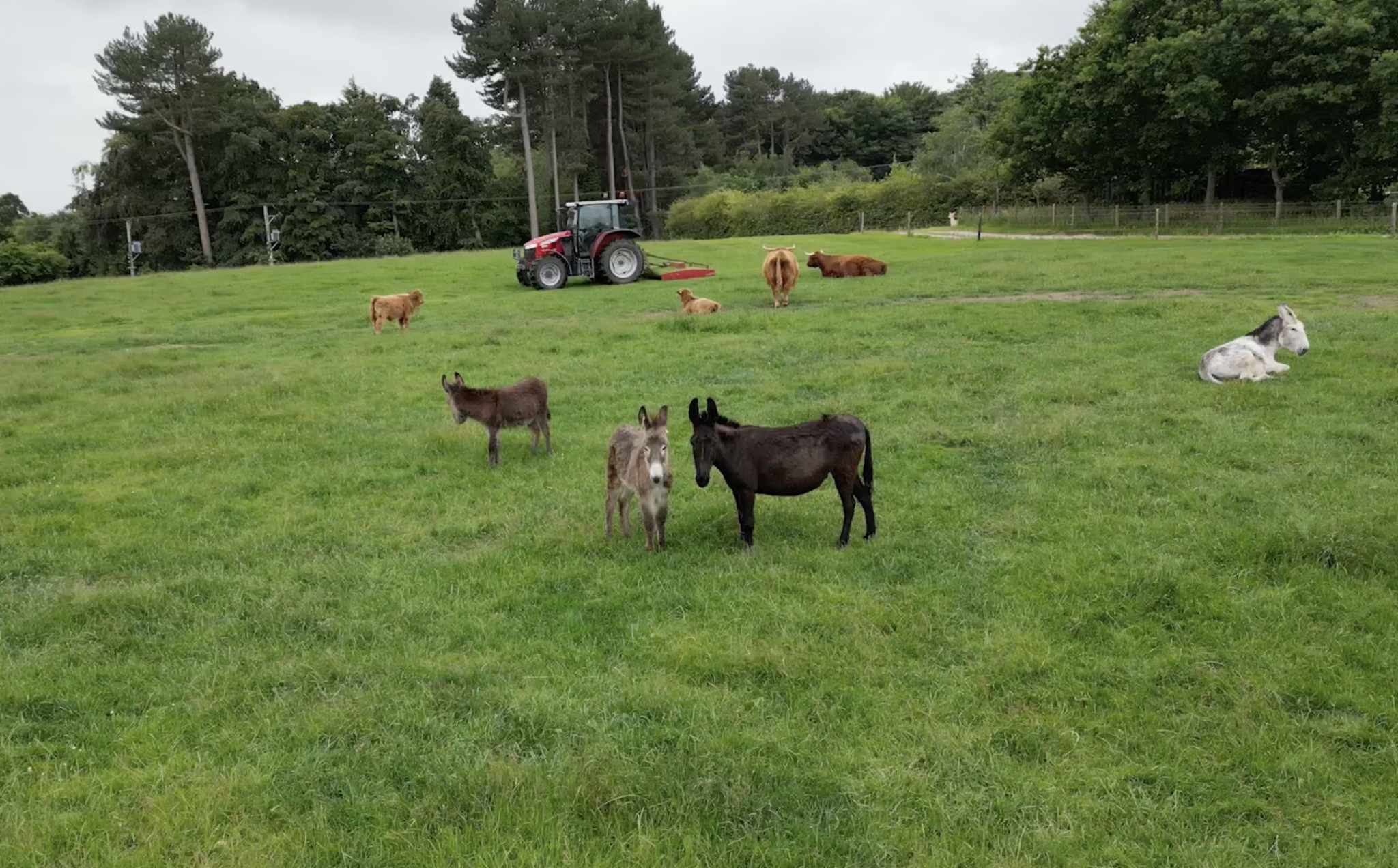 Topping the grass: first time in 20 years! | Cannon Hall Farm