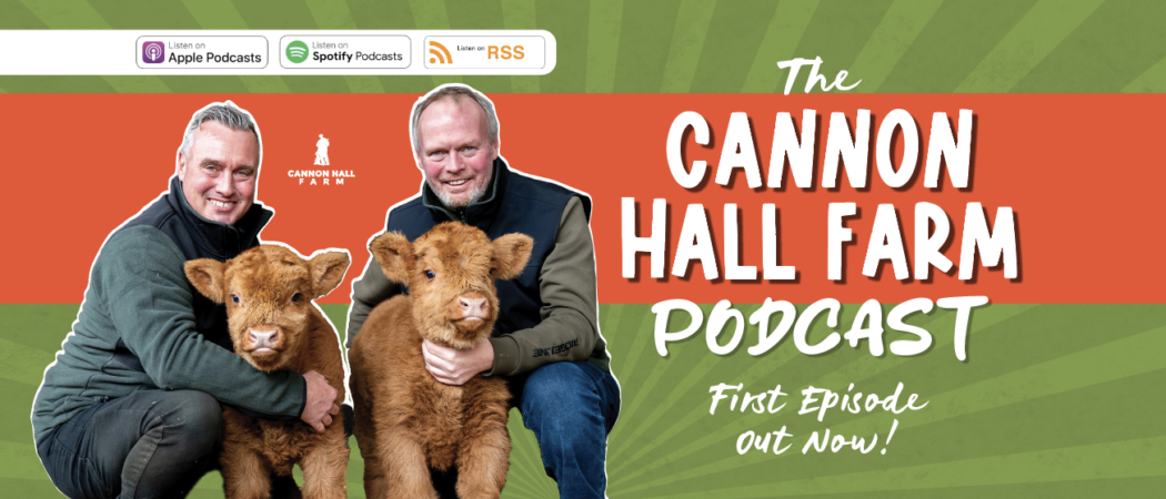 Cannon Hall Farm | The Perfect Family Day Out in Yorkshire