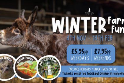 Cannon Hall Farm | The Perfect Family Day Out in Yorkshire