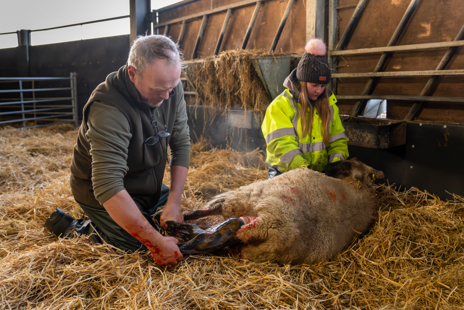 Cannon Hall Farm | The Perfect Family Day Out in Yorkshire
