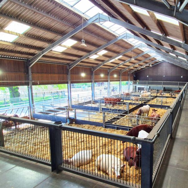Come and visit our Yorkshire farm | Cannon Hall Farm