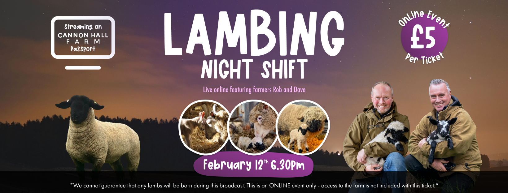 Lambing Night Shift: Live Online! | Cannon Hall Farm